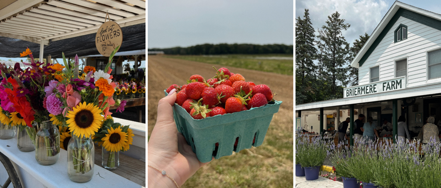 North Fork Long Island Travel Guide